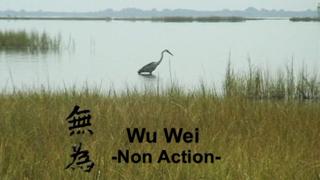 Official Selection: Wu Wei (Non Action) - International Peace and Film Festival